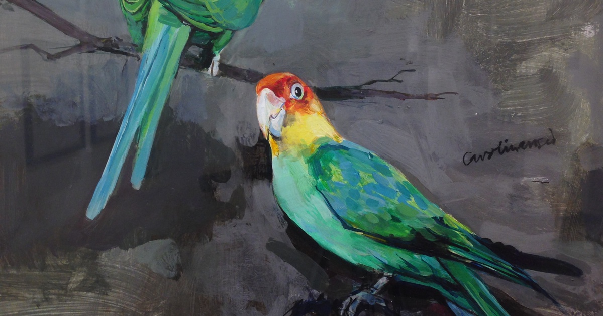 Annie Cattrell RSA - Exhibitions | Royal Scottish Academy