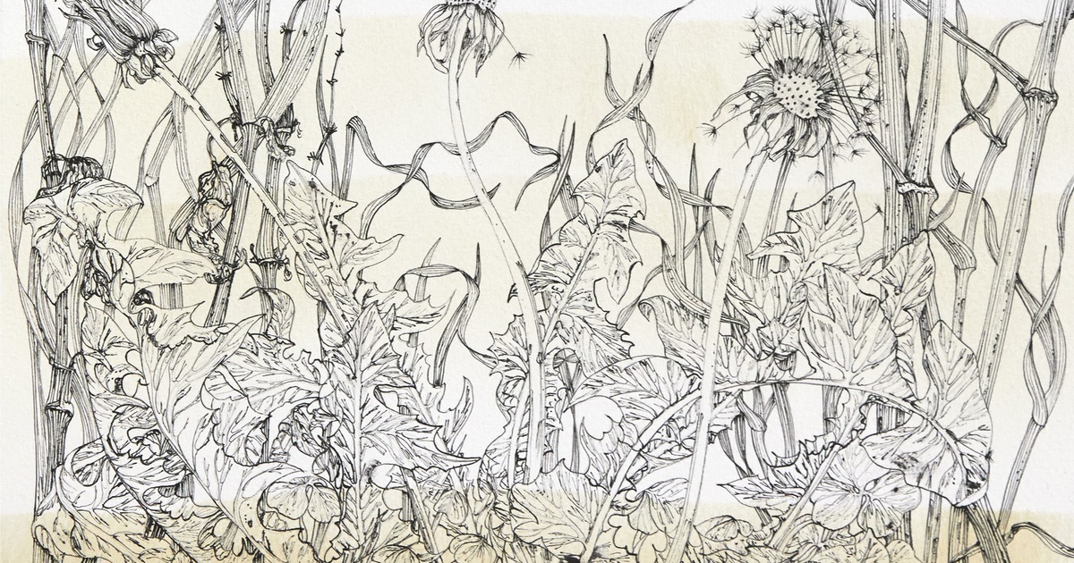 Edward Summerton RSA - Exhibitions | Royal Scottish Academy