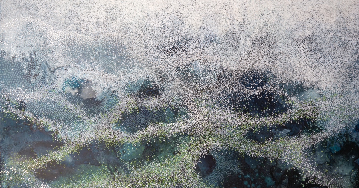 Barbara Rae RSA - Exhibitions | Royal Scottish Academy